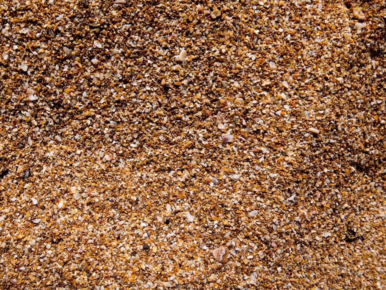 Sandfang: Absetzbecken zur mechanischen Reinigung des Abwassers ...