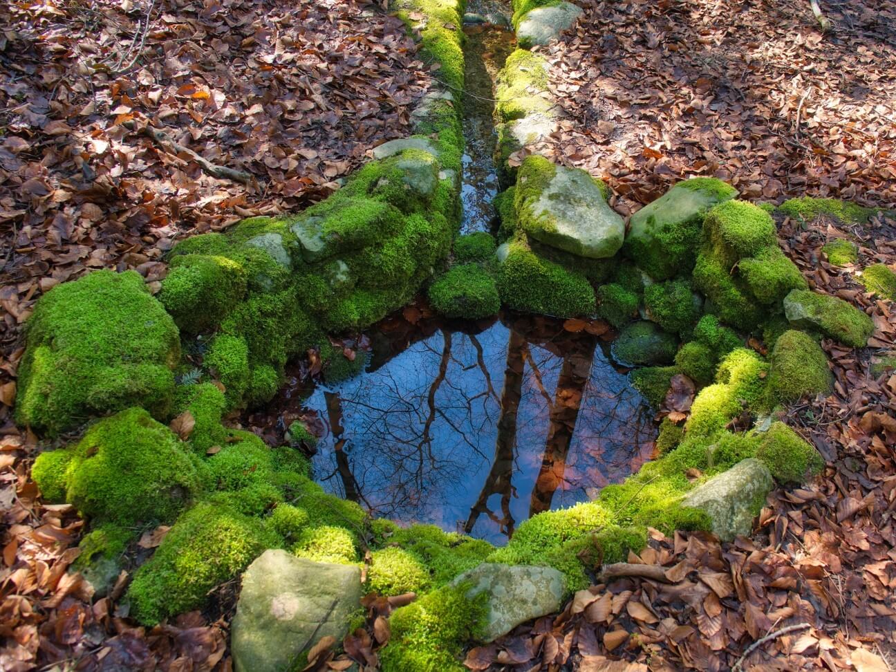 Sickerwasser: Unterirdisches Wasser über dem Grundwasser » Lexikon » UHRIG