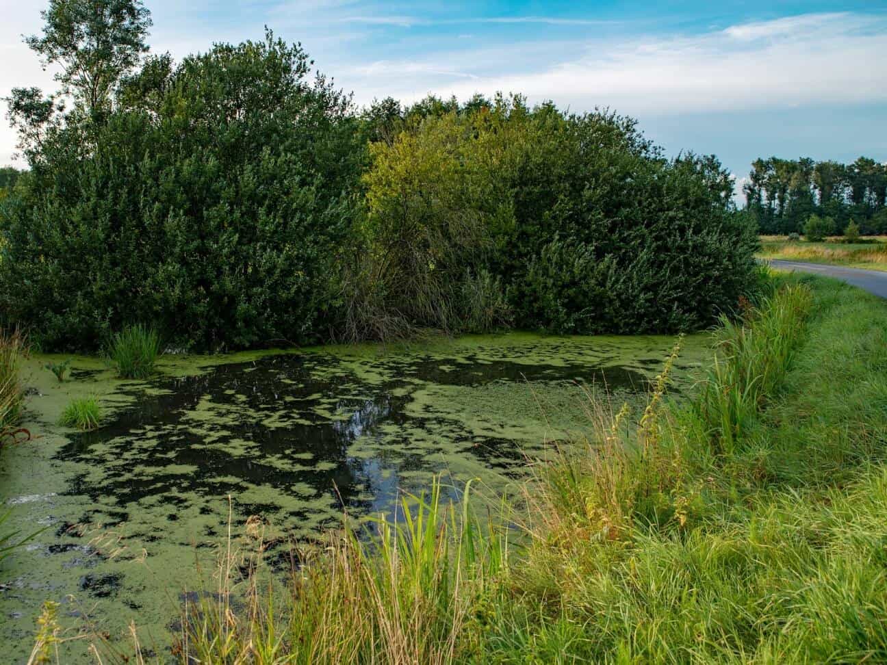 Rigolenversickerung: Schonende Versickerung von Regenwasser » Lexikon ...
